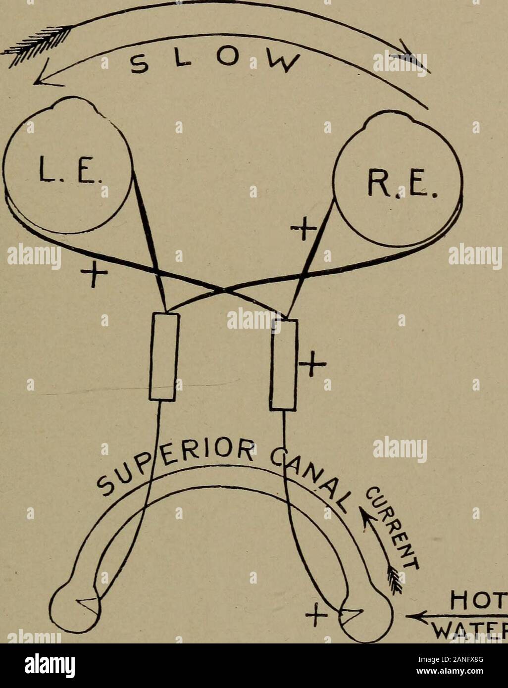 Ear canal diagram hi-res stock photography and images - Alamy