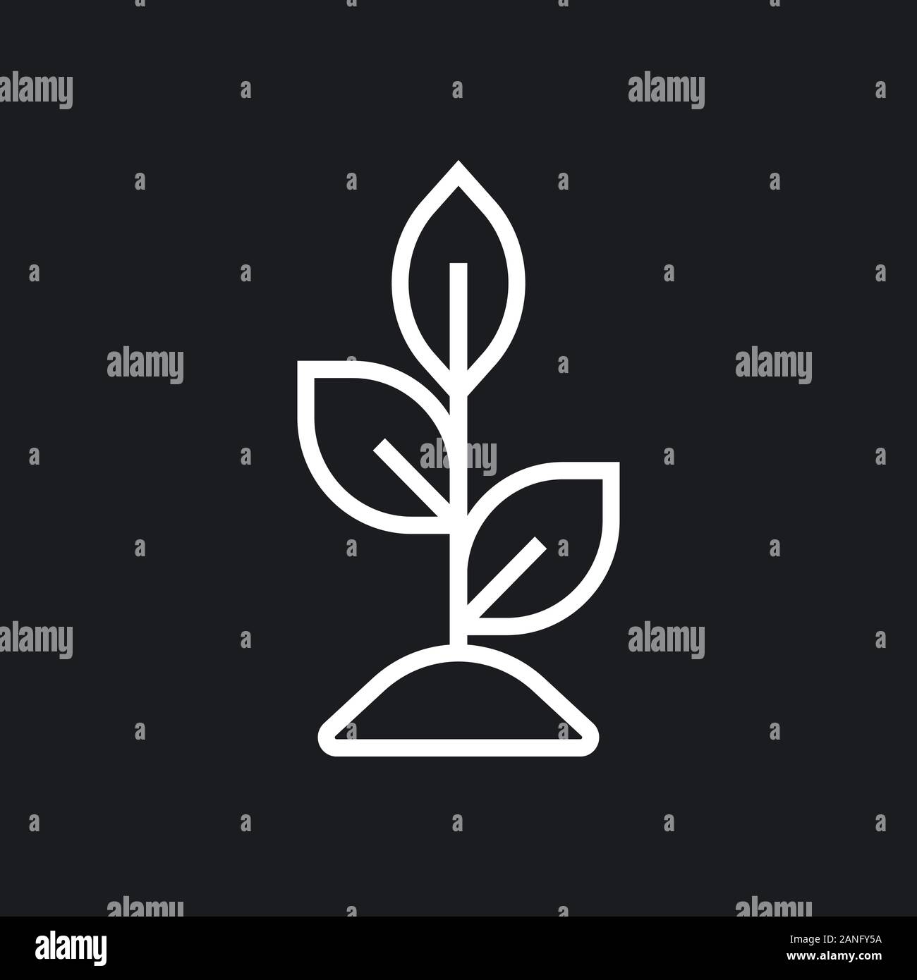 Gardening green vegetable growth Black and White Stock Photos & Images ...