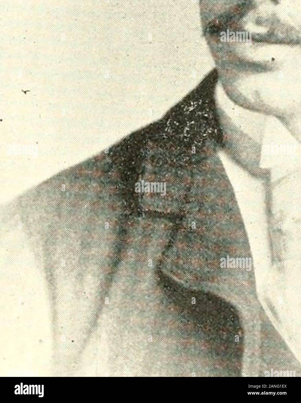 Bookidgenealogical hi-res stock photography and images - Alamy