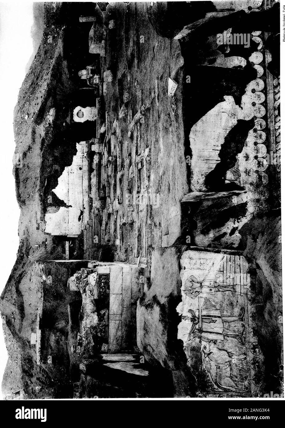 W o l Cut Out Stock Images & Pictures - Alamy