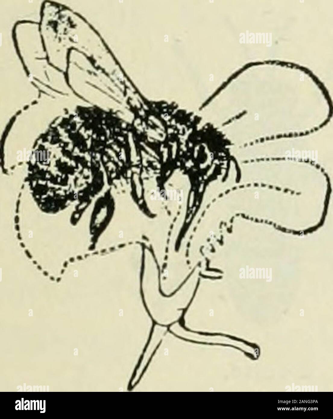 Wings spread twists hi-res stock photography and images - Alamy