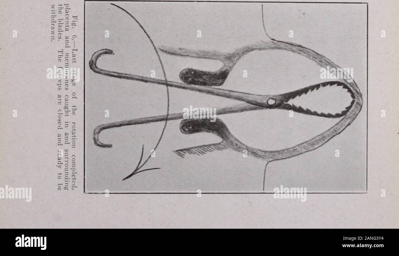 Andagain hi-res stock photography and images - Alamy