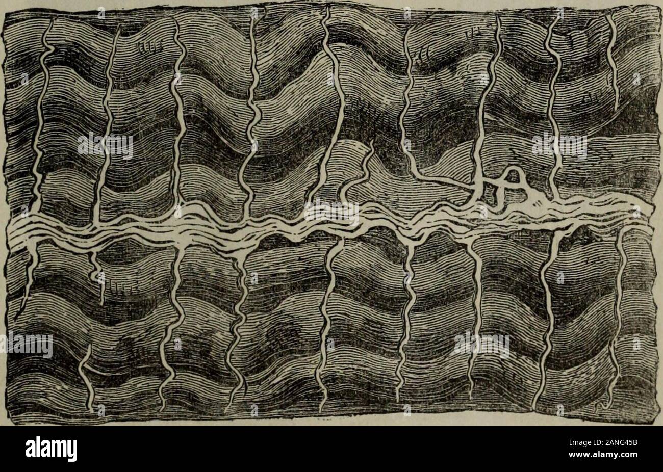 Inverted arches hi-res stock photography and images - Alamy