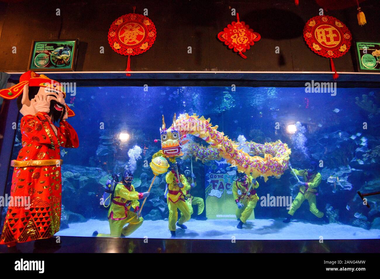Chinese divers hi-res stock photography and images - Alamy