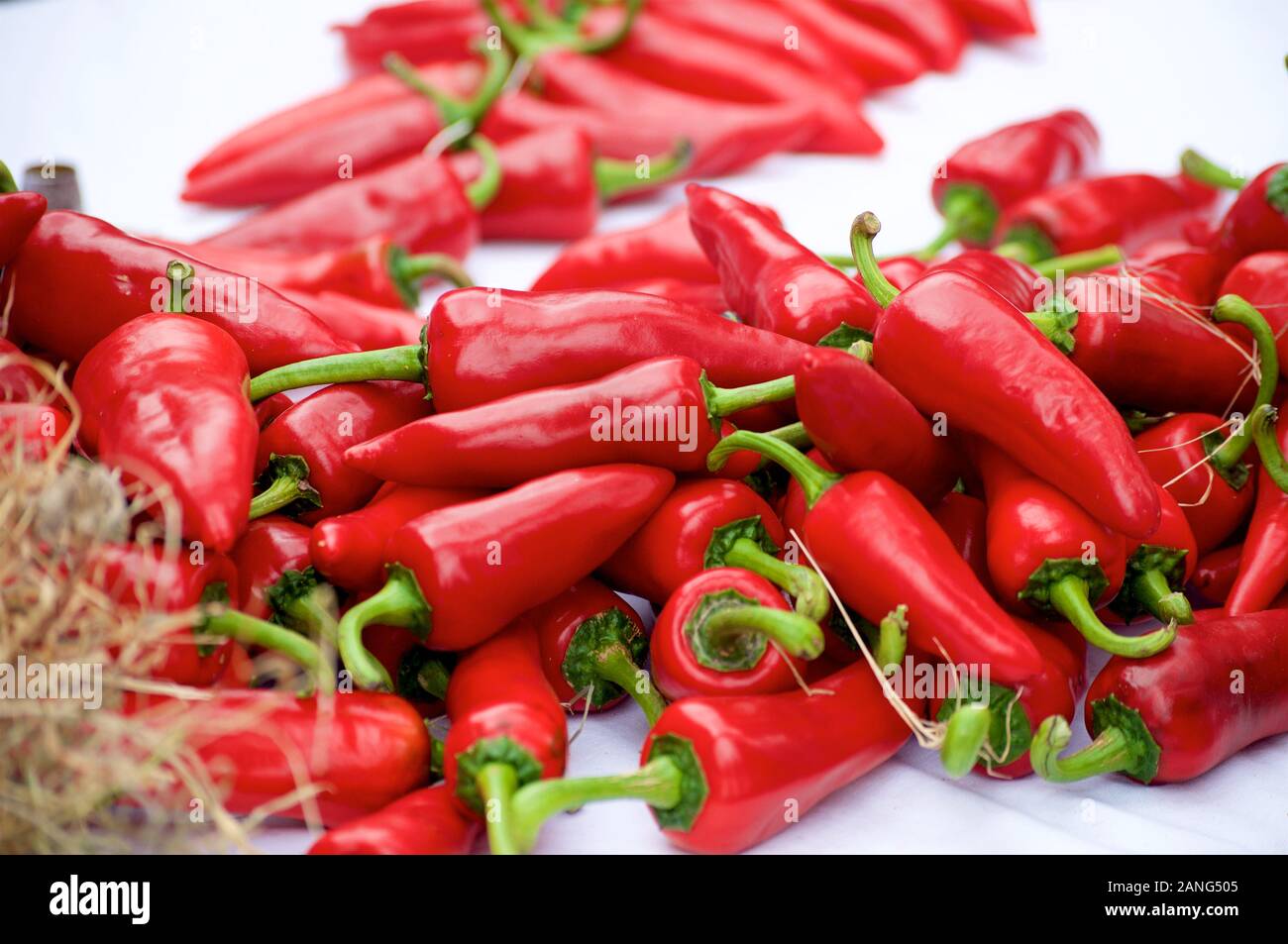 Feast of little red peppers in the beautiful town Esplette in the ...