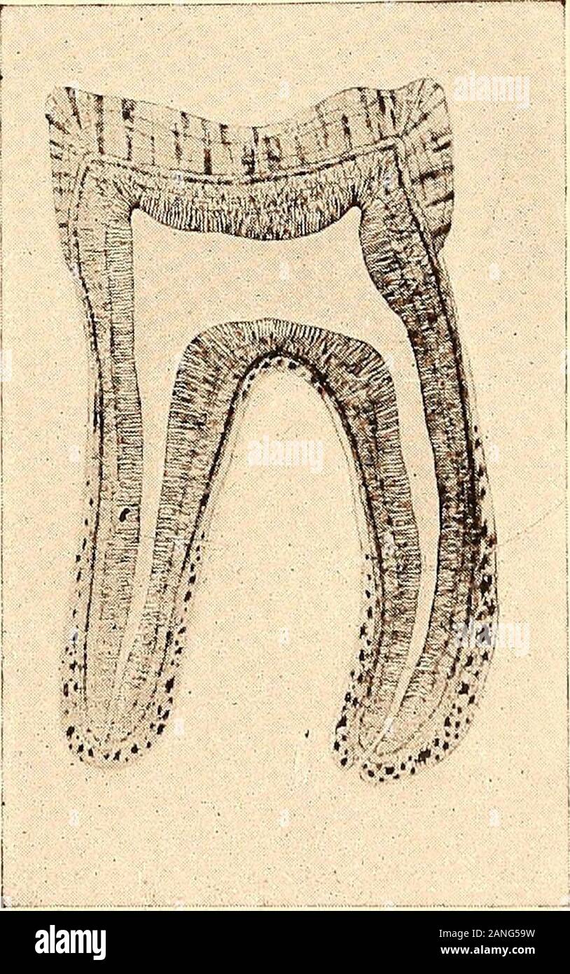 Enamel rods hi-res stock photography and images - Alamy