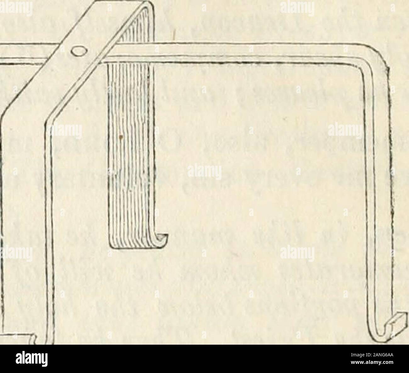 Holy Sponge High Resolution Stock Photography and Images - Alamy