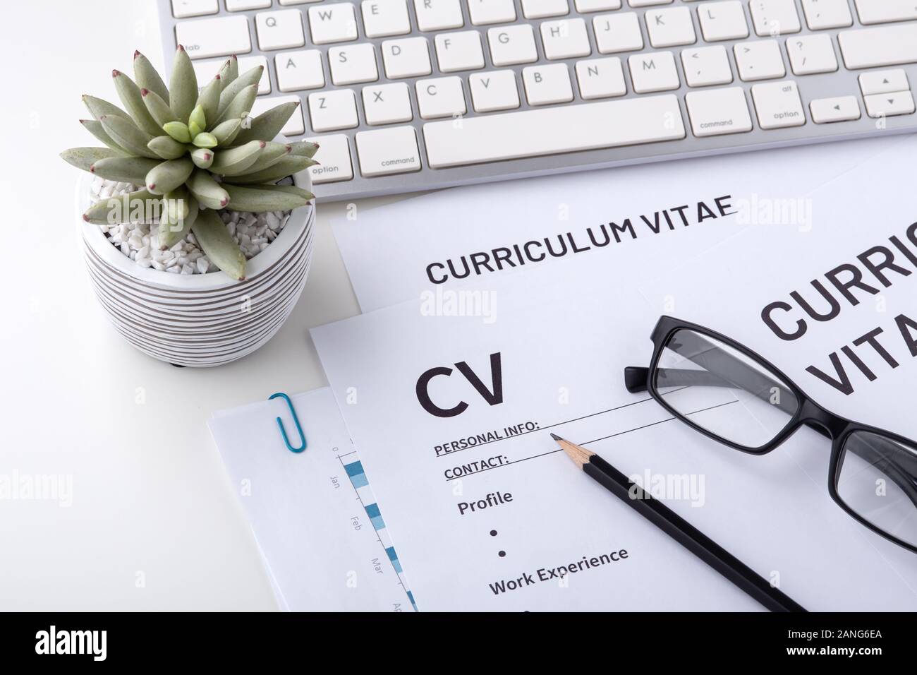 Computer cv hi-res stock photography and images - Alamy