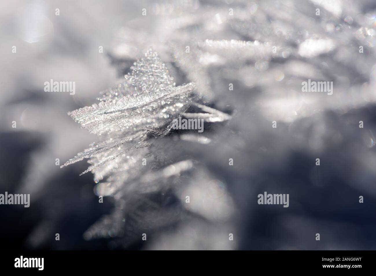 Real frozen ice crystals in blue, winter background. Closeup of ice ...