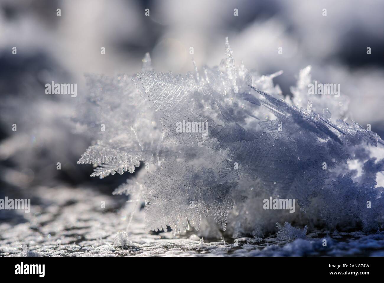 Real frozen ice crystals in blue, winter background. Closeup of ice ...