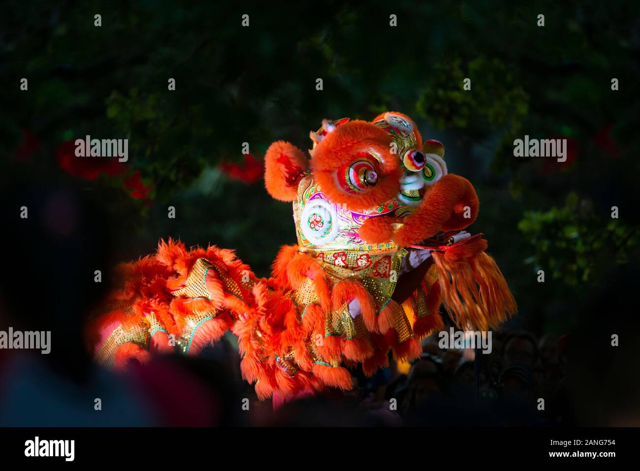Lion dance chinese new year hi-res stock photography and images - Alamy
