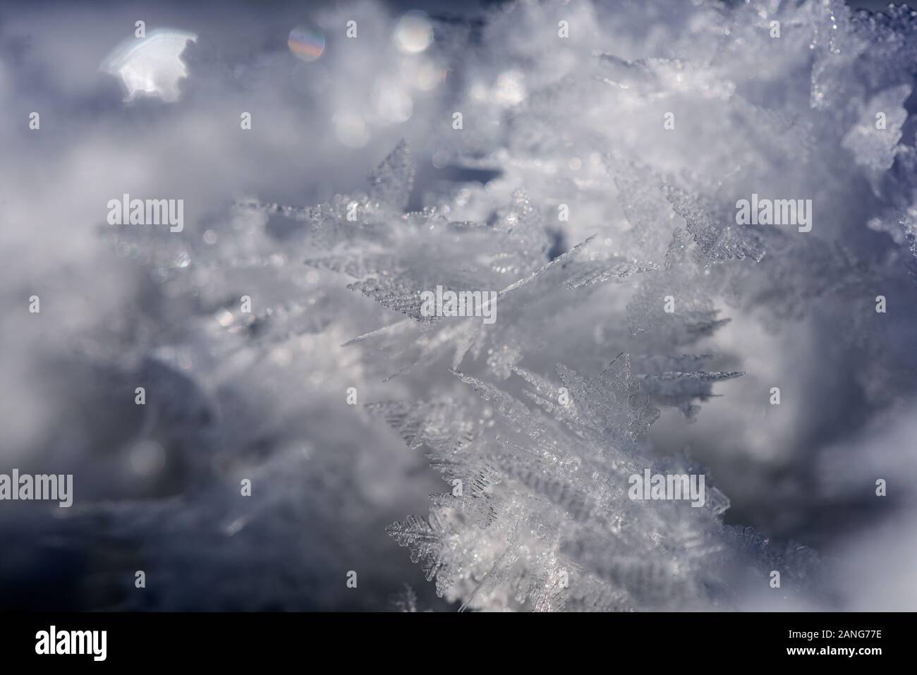 Real frozen ice crystals in blue, winter background. Closeup of ice ...