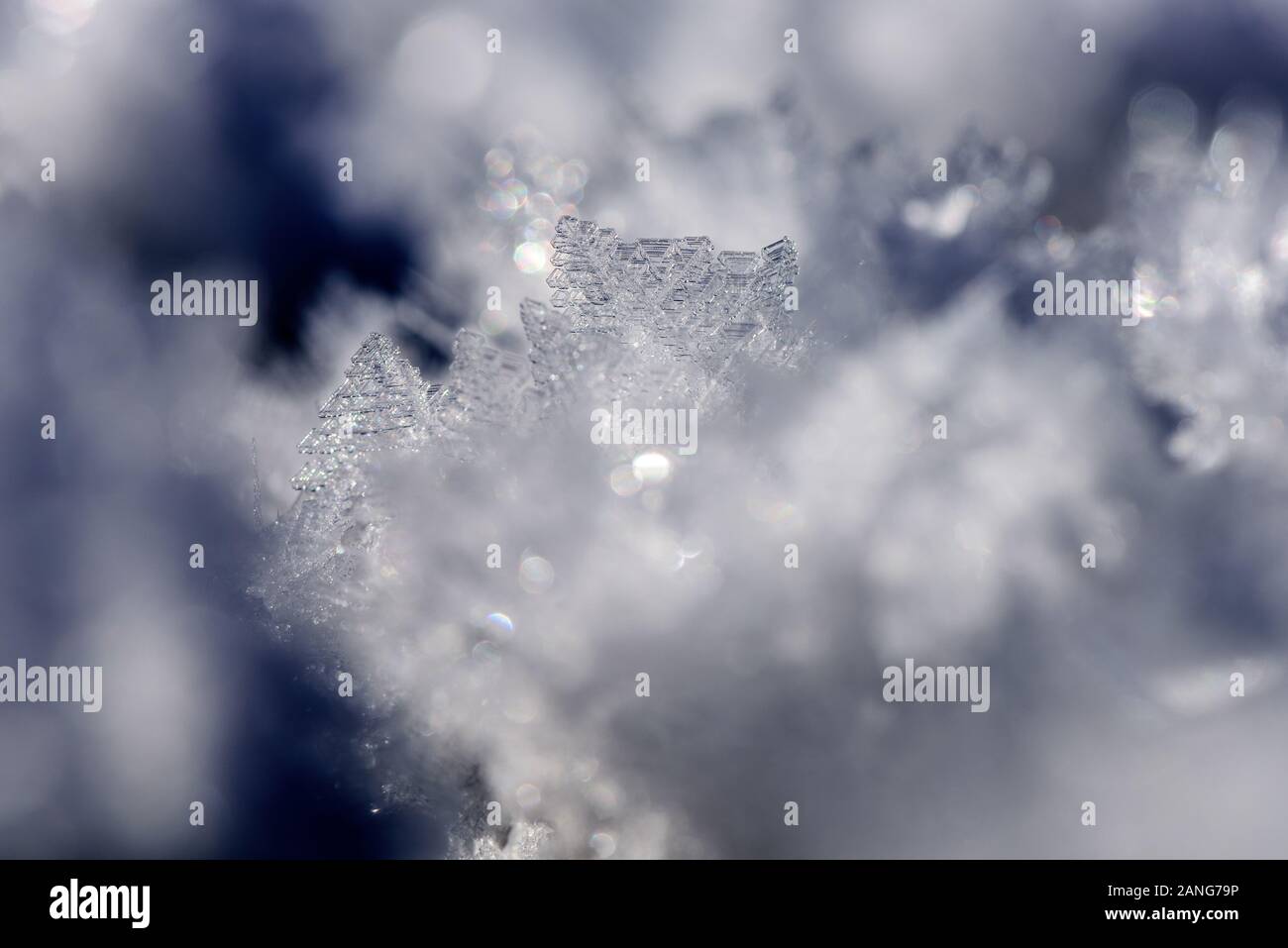 Real frozen ice crystals in blue, winter background. Closeup of ice ...