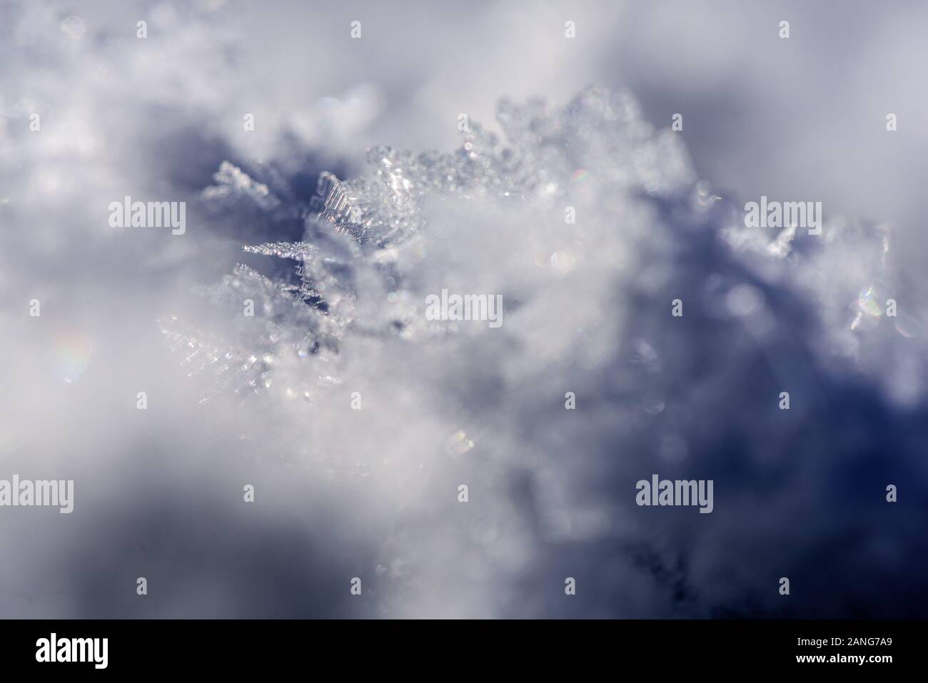 Real frozen ice crystals in blue, winter background. Closeup of ice ...