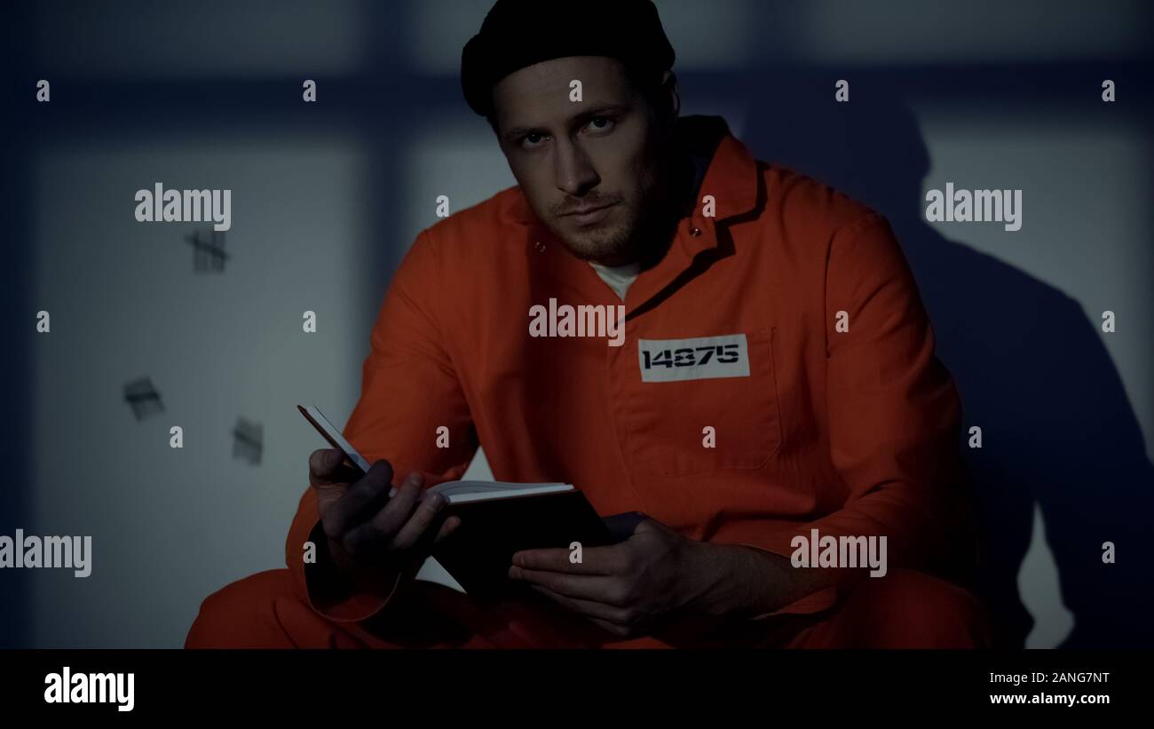 Caucasian prisoner reading book and looking at camera, self-education ...