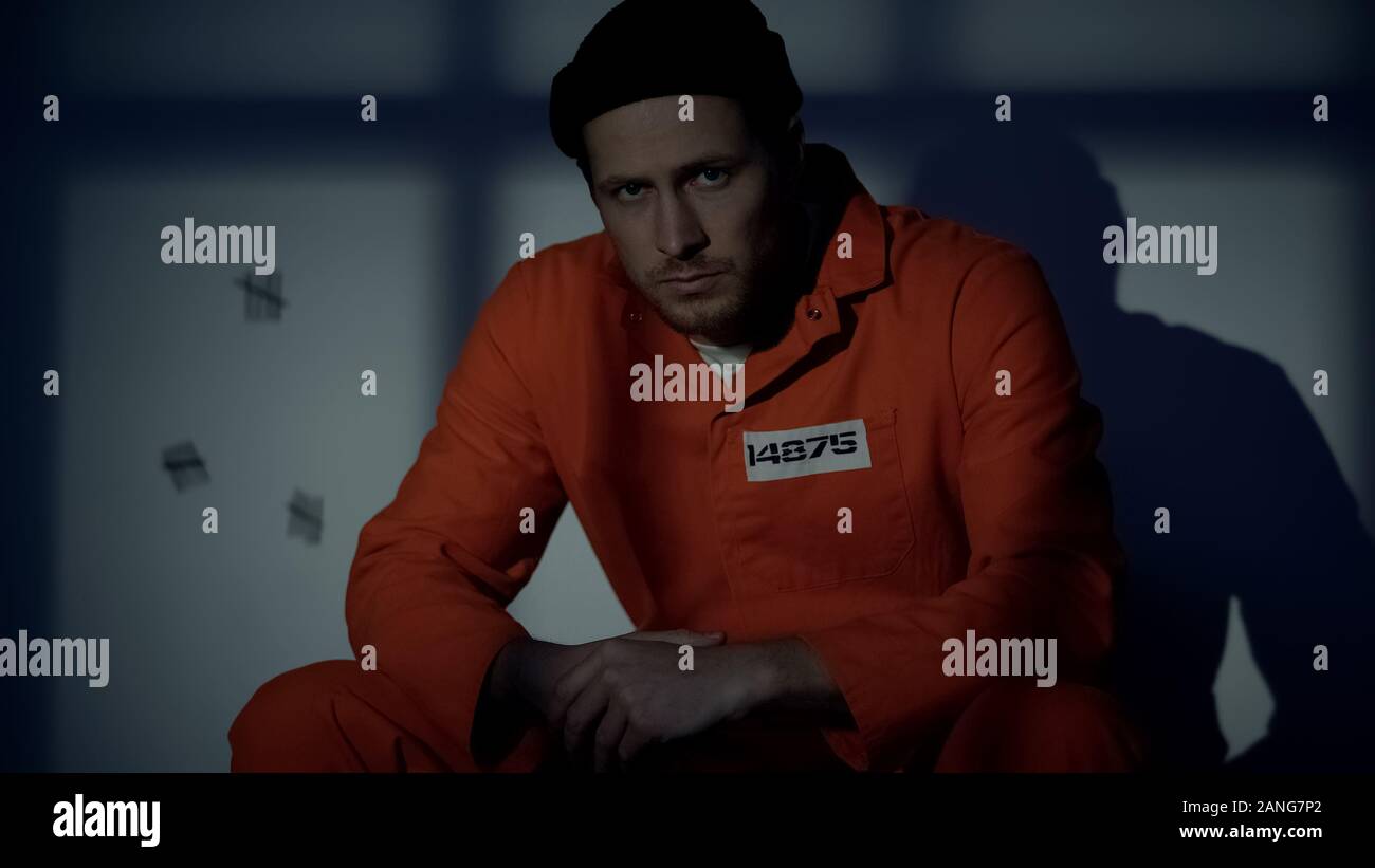 Caucasian prisoner looking at camera in individual cell, life sentence ...