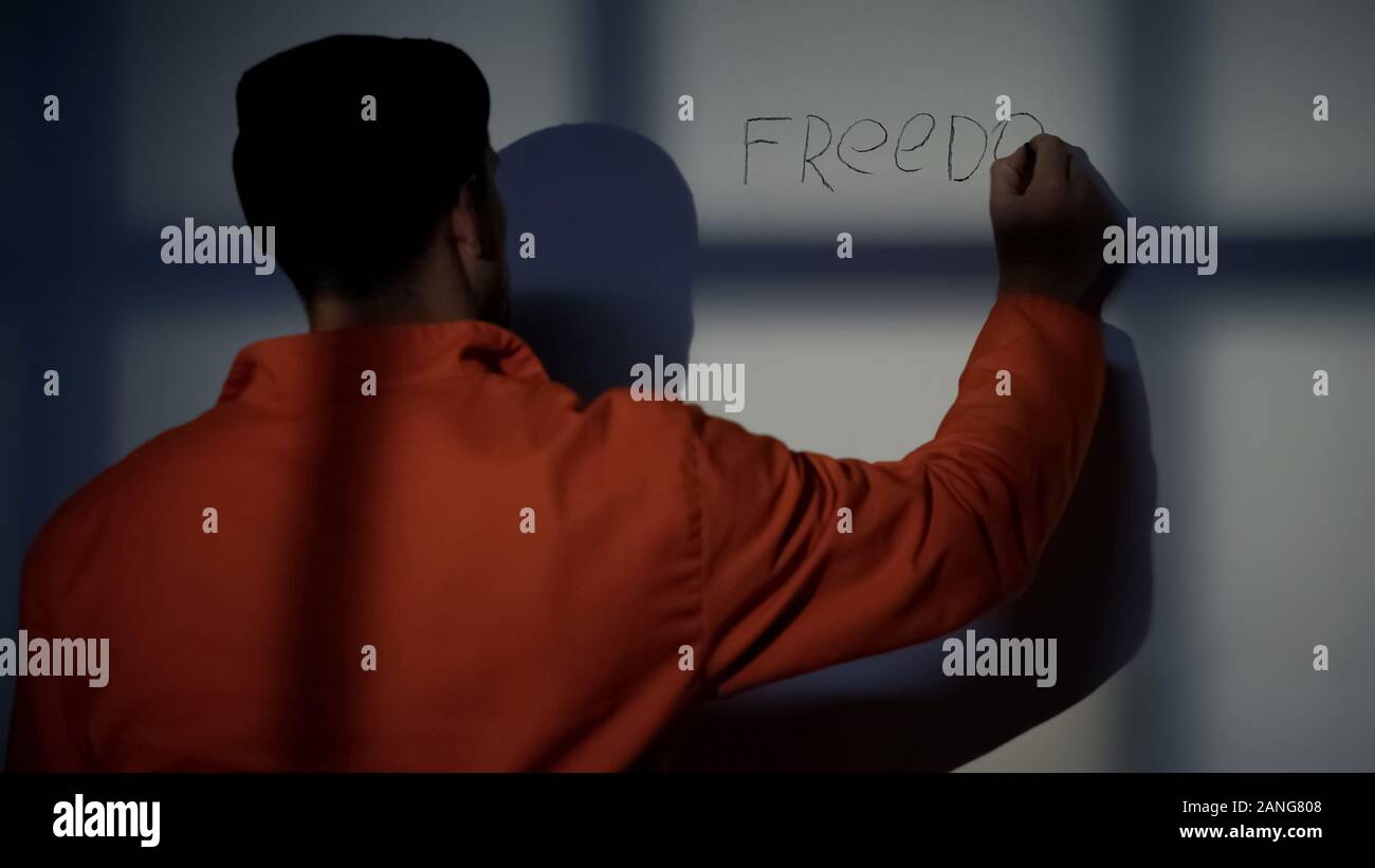 Hopeless male prisoner writing word freedom on wall, asking for amnesty ...