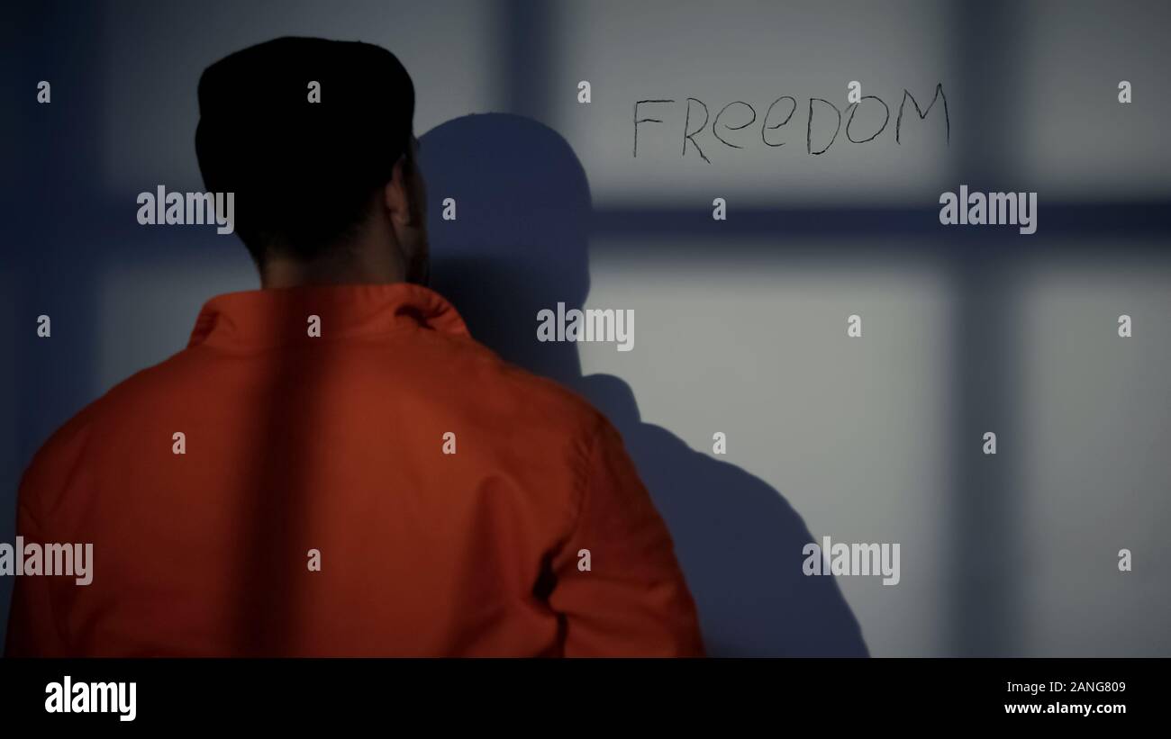 Freedom word written on prison wall, calling for help, prisoner ...