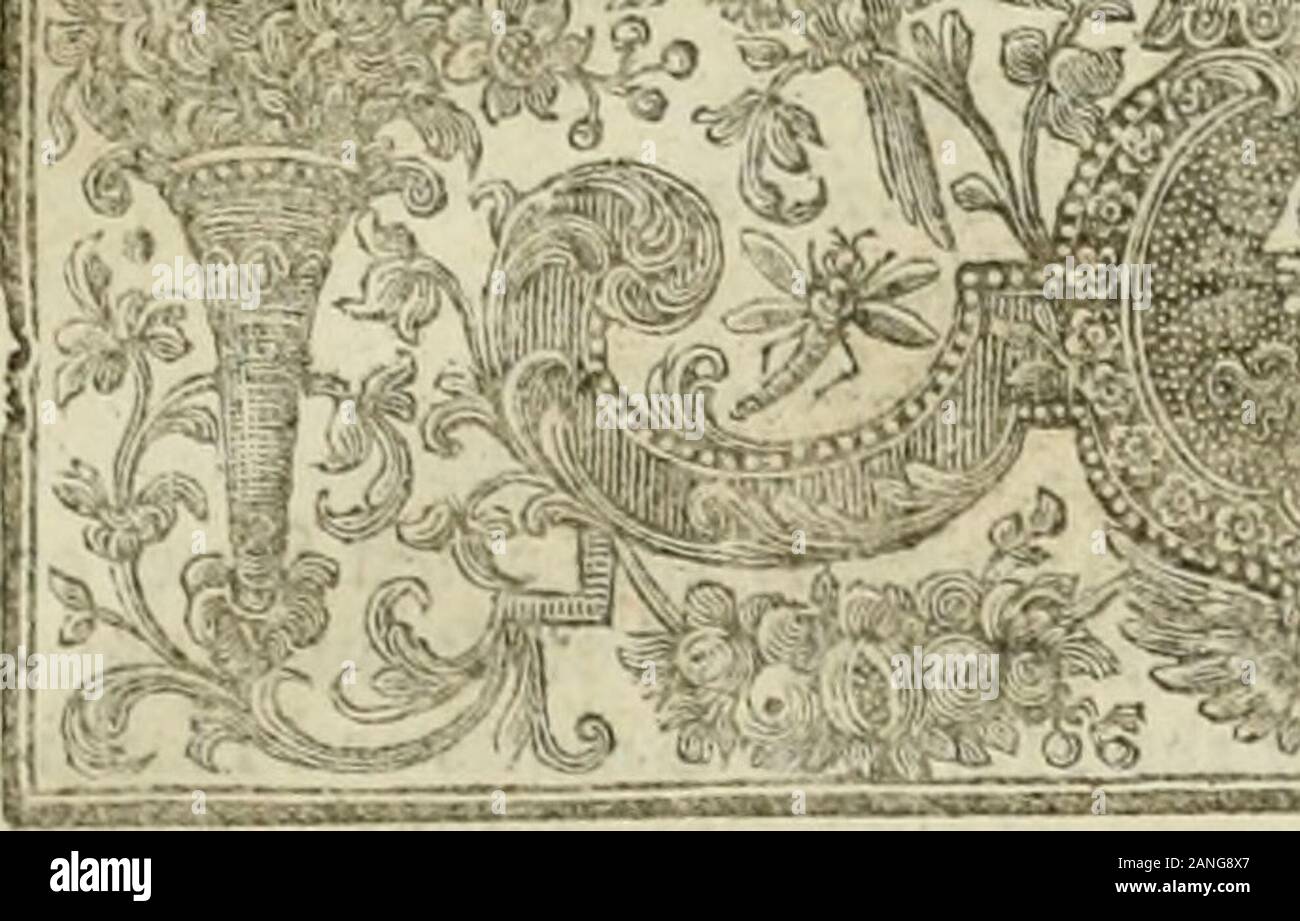 Travels through Holland, Germany, Switzerland, but especially Italy ...