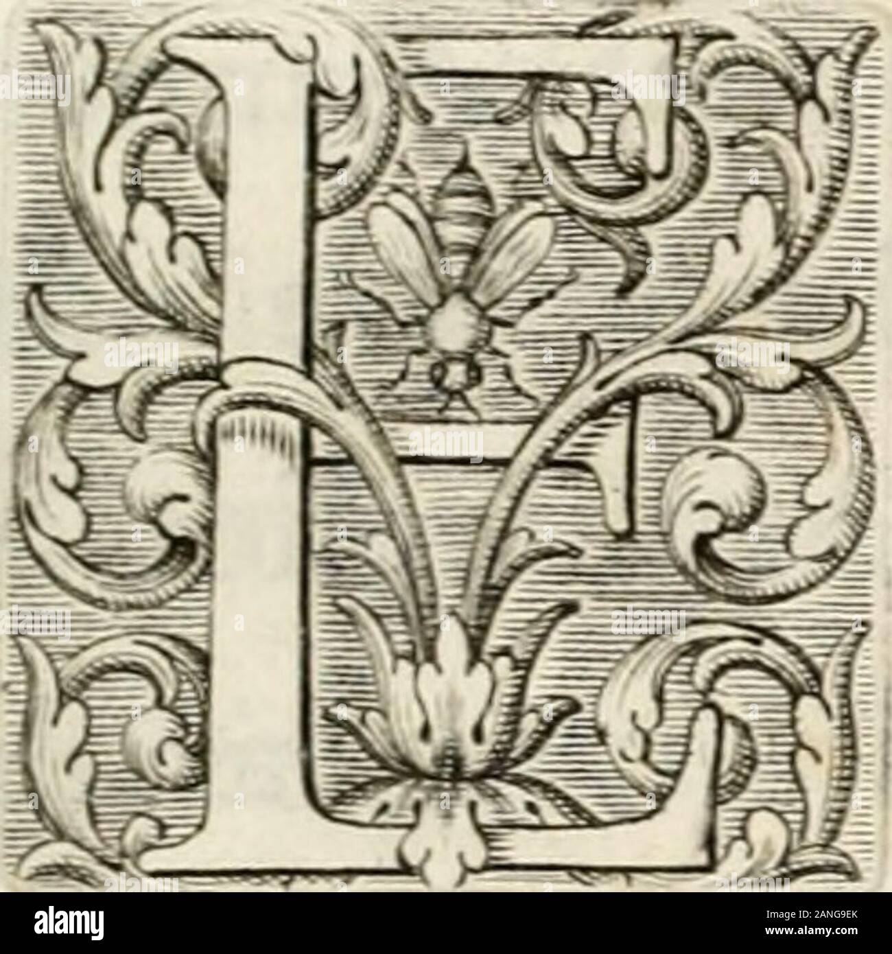 Adme hi-res stock photography and images - Alamy