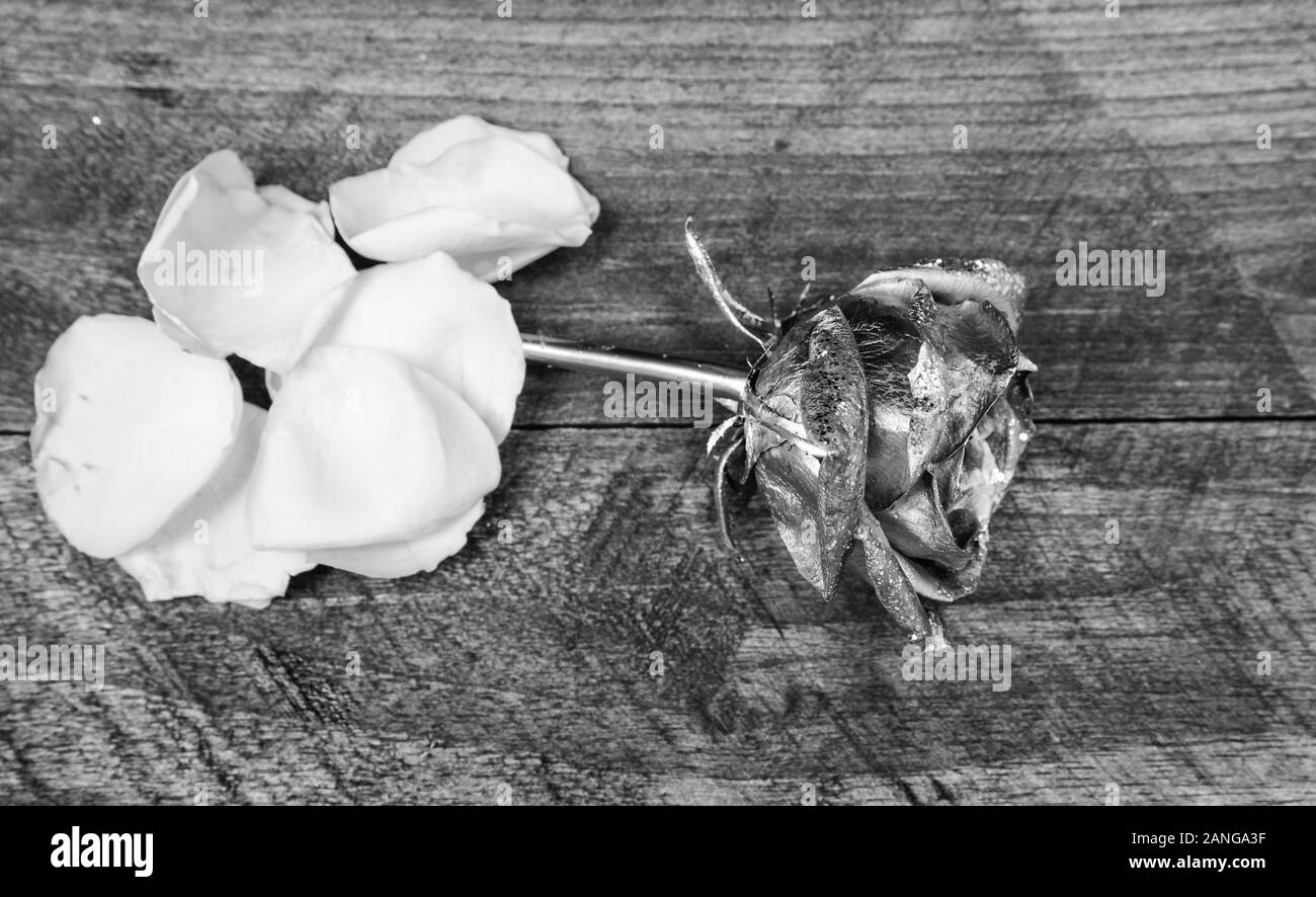 wealth and richness. luxury and success. metallized decoration. antique ...