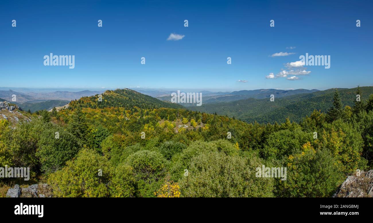 Green Forest Wallpaper - Mountainous Panorama - Clean Nature ...