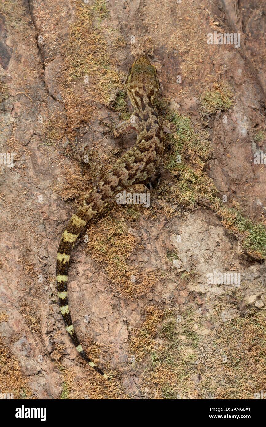 Culverts hi-res stock photography and images - Alamy