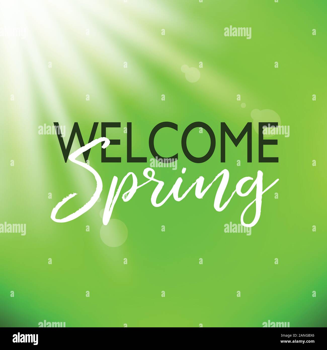 Welcome spring. Vector card with lettering Stock Vector Image & Art - Alamy