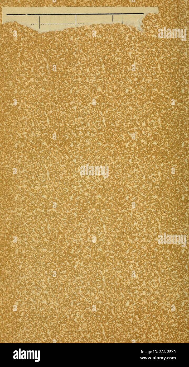 German jager divisions hi-res stock photography and images - Alamy