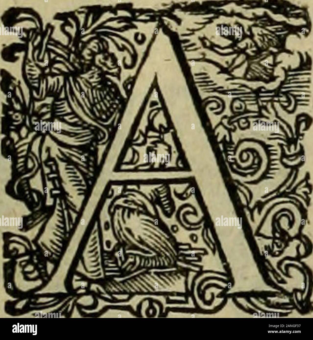 M expressa hi-res stock photography and images - Alamy