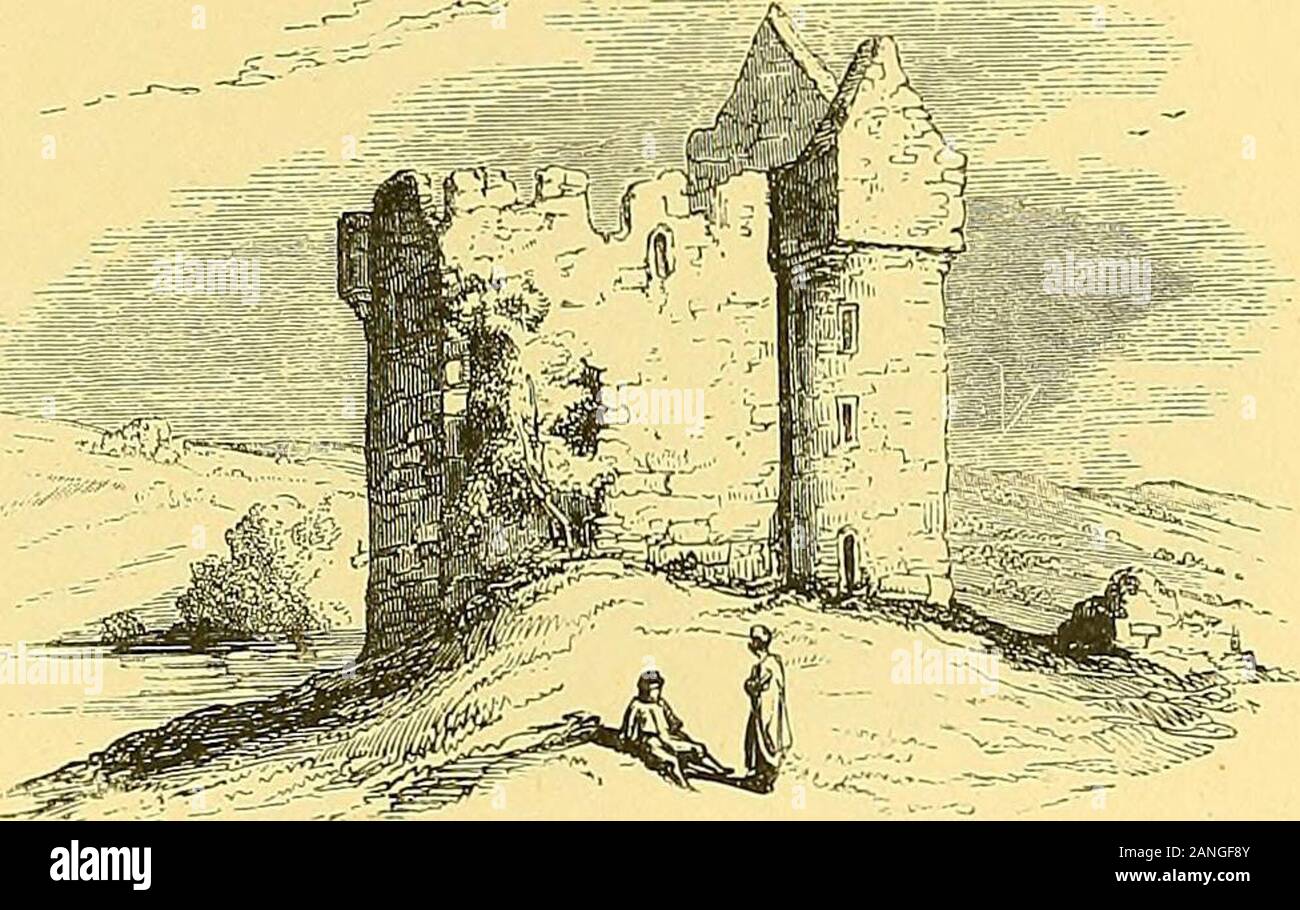 Picturesque Ireland : a literary and artistic delineation of the ...