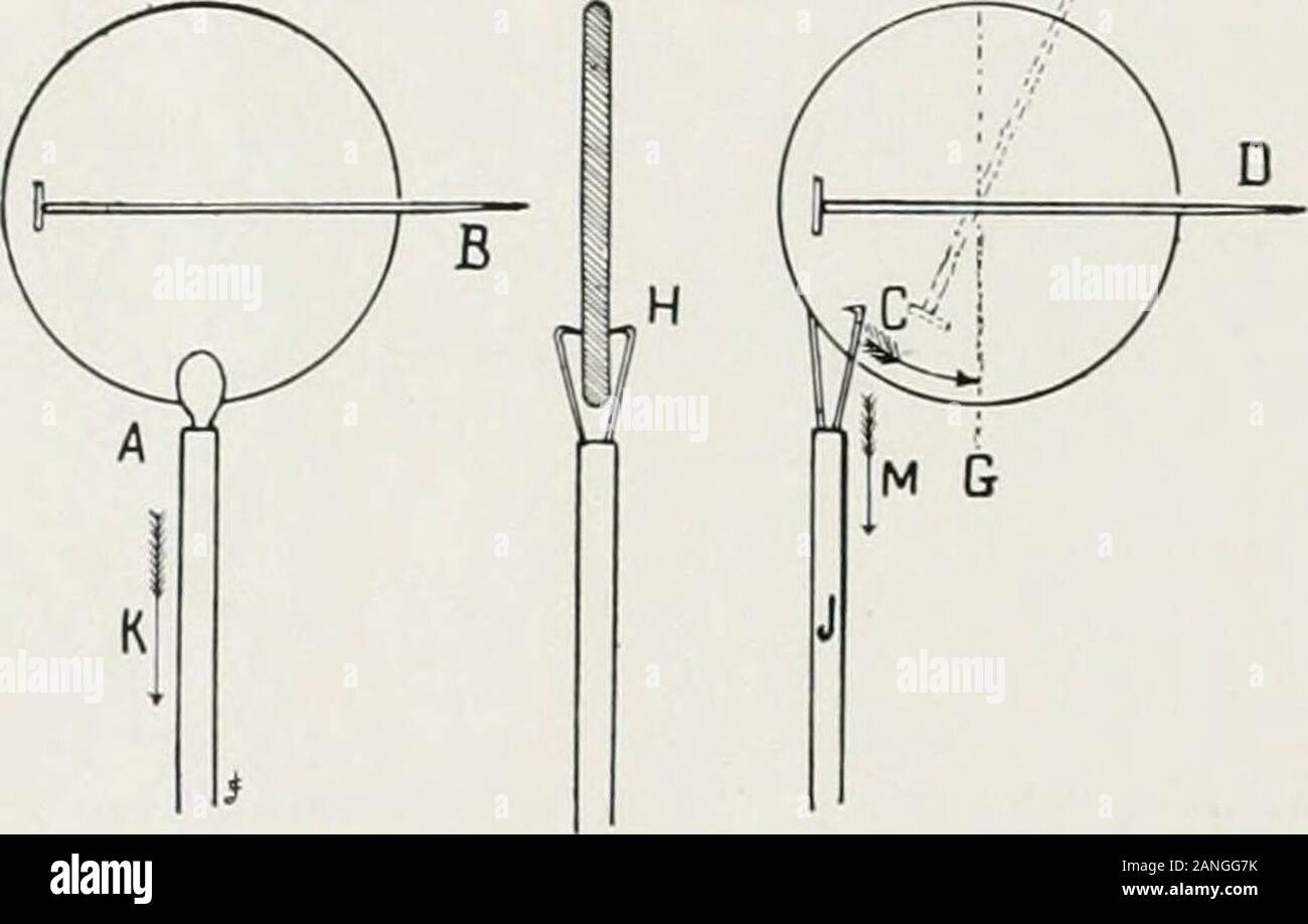 Foreign body in esophagus hi-res stock photography and images - Alamy
