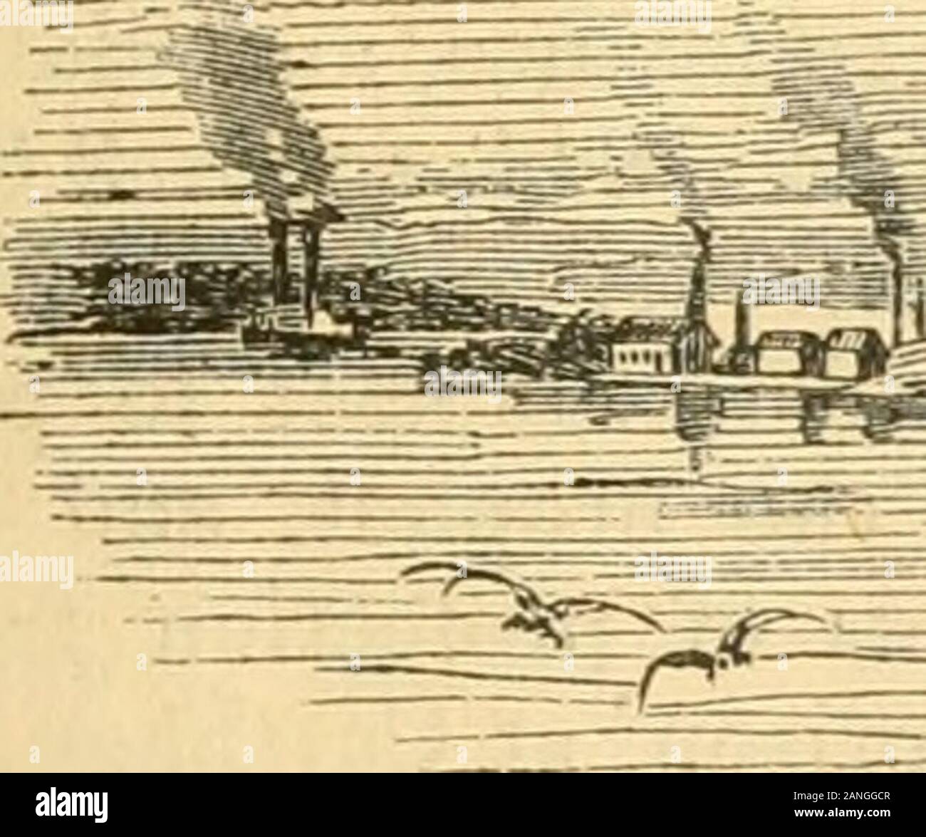 Fox tribe hi-res stock photography and images - Alamy