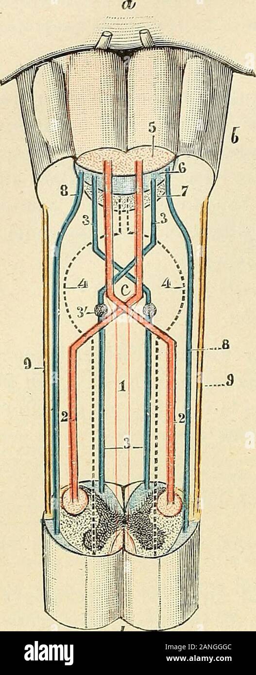 Forme ronde hi-res stock photography and images - Alamy