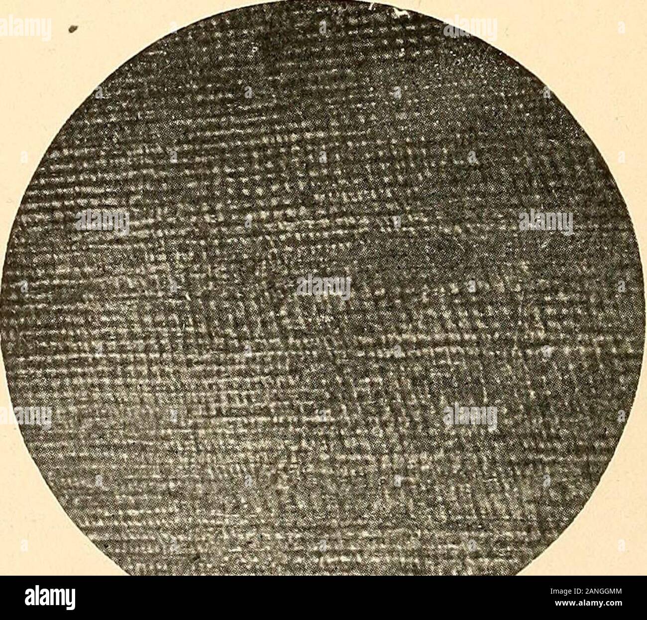 Principles and practice of operative dentistry . ... - Fig. 134.—.4 ...