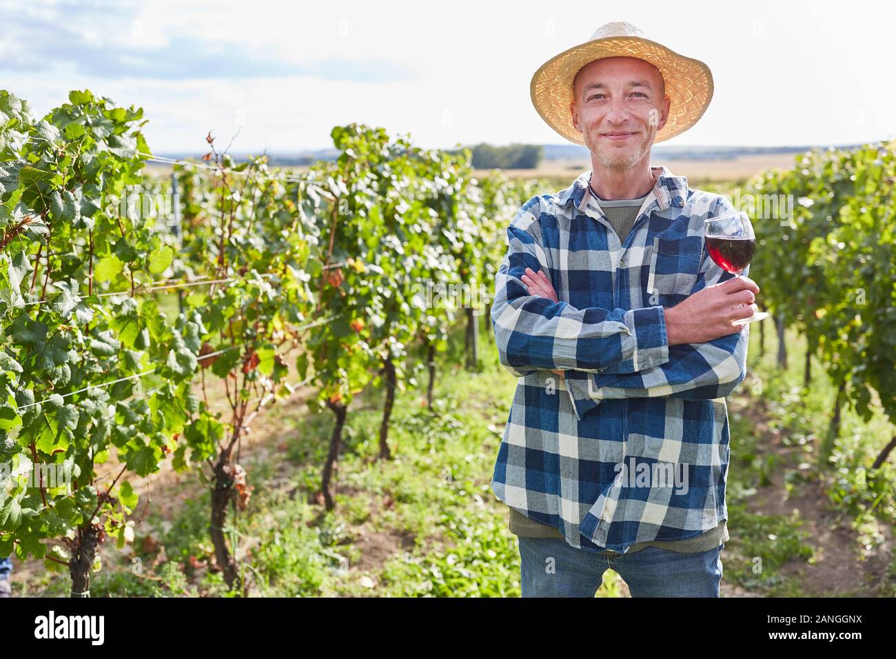 Man as a satisfied winegrower with a glass of red wine in his winery ...