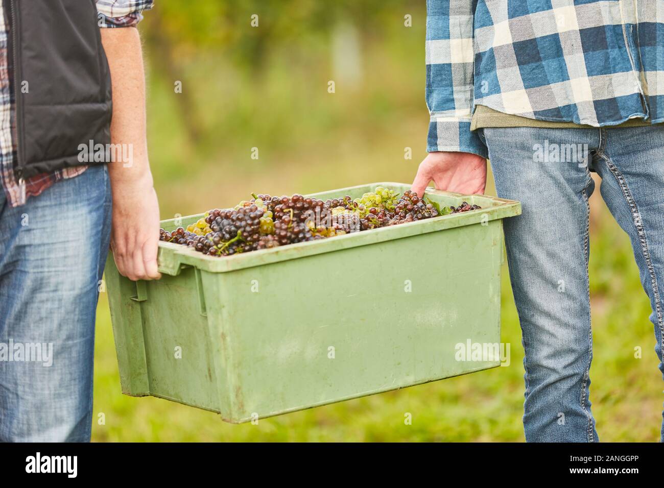 Carry transport hi-res stock photography and images - Alamy