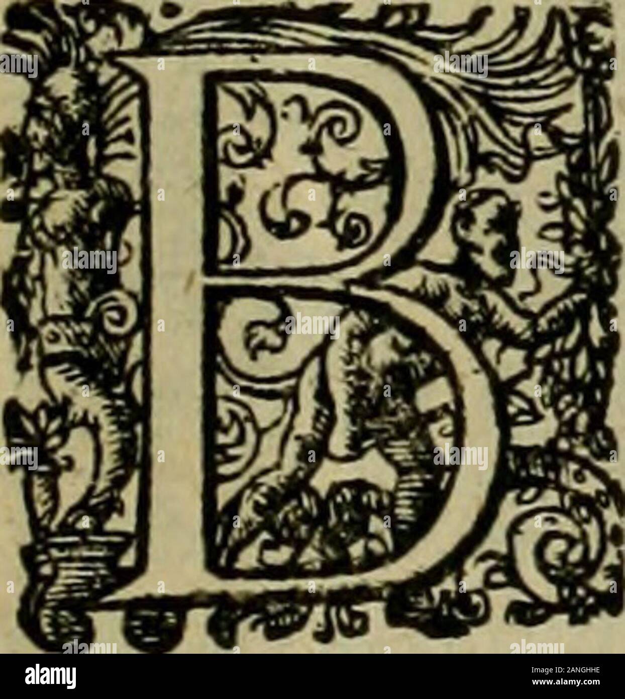 Nobiles hi-res stock photography and images - Alamy