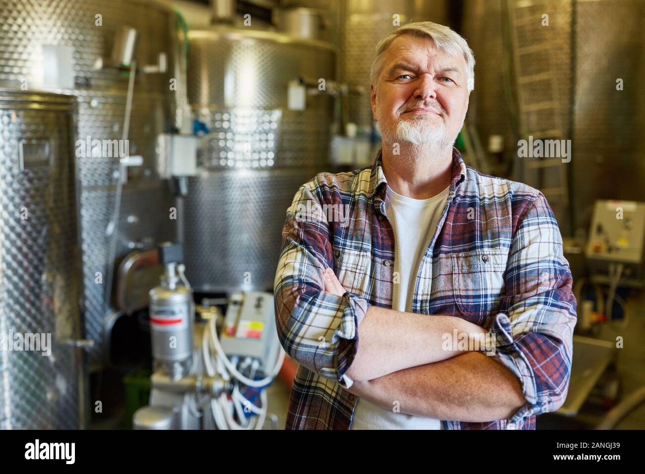 Man as a brewer or winemaker in a brewery or winery in front of a ...