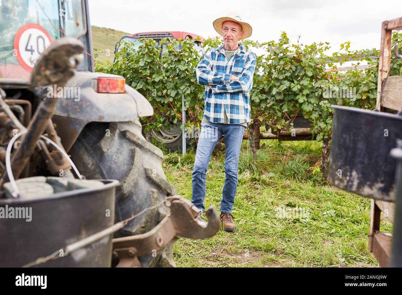 Winegrower with his arms crossed in front of his tractor during the ...