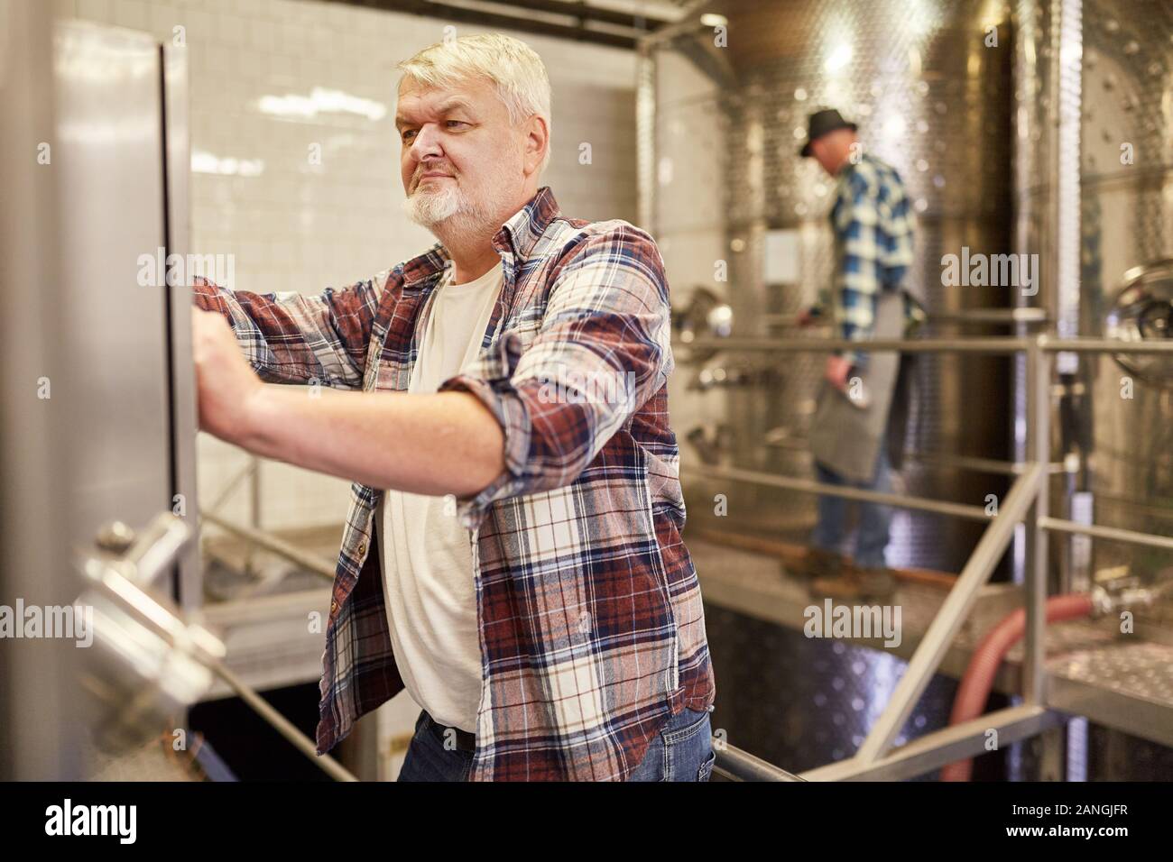 Master brewer or winemaker controls the production at the fermentation ...