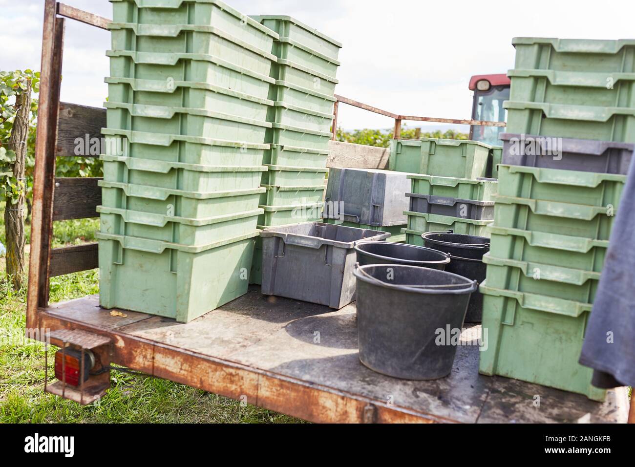 Stack of harvest boxes on the trailer while harvesting in the vineyard ...