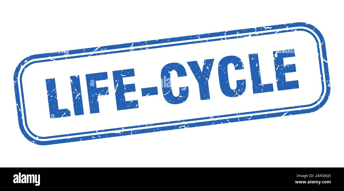 life-cycle stamp. life-cycle square grunge blue sign Stock Vector Image ...