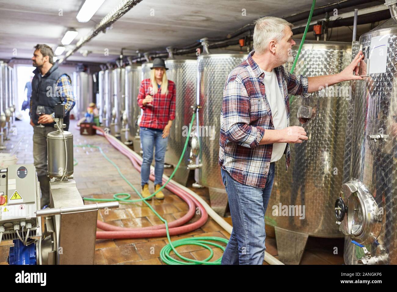 Group of winegrowers in the winery filling the fermentation tanks Stock ...