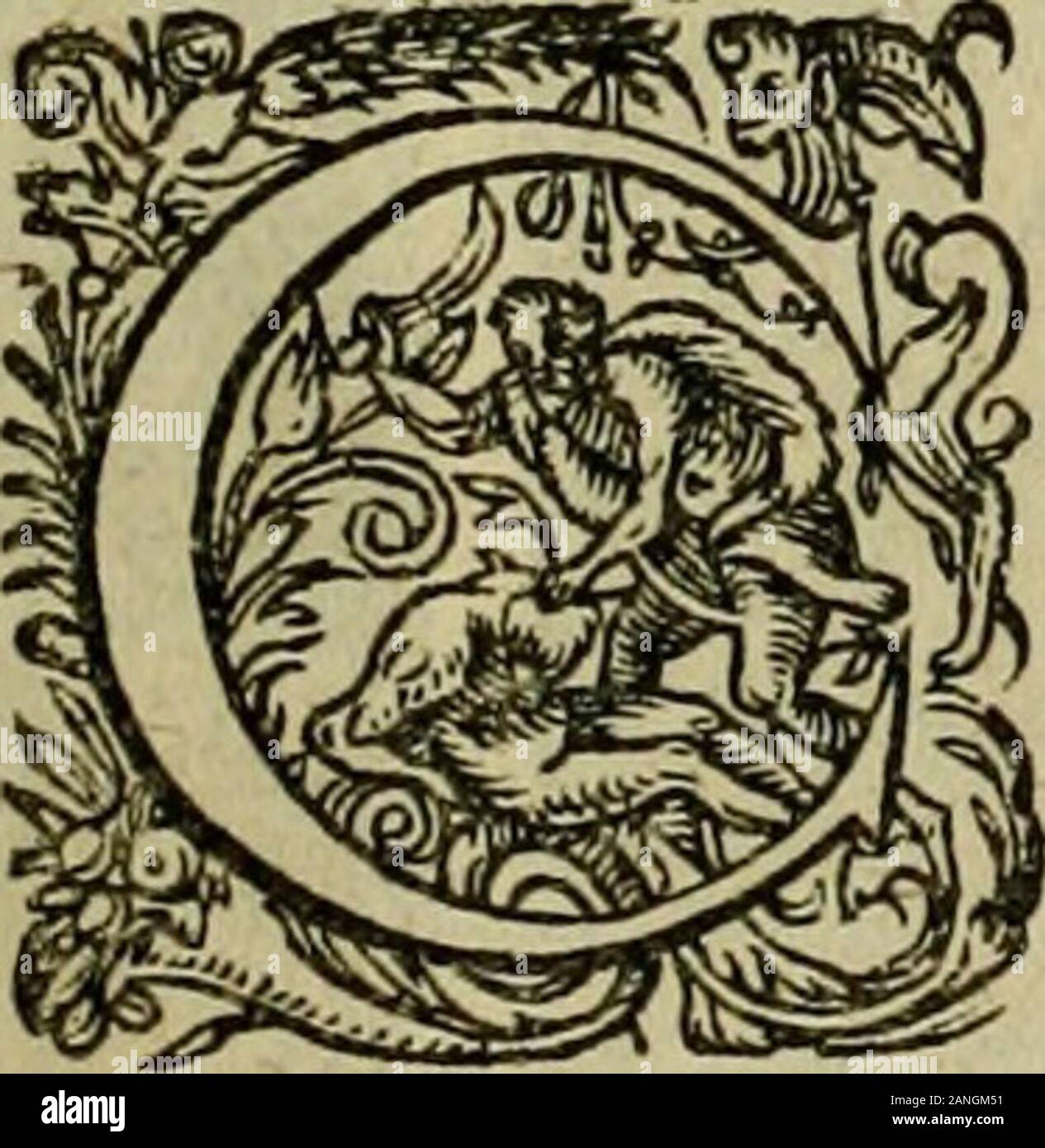 Nobiles hi-res stock photography and images - Alamy