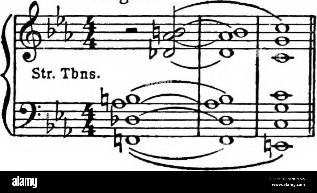 Evolved scale hi-res stock photography and images - Alamy