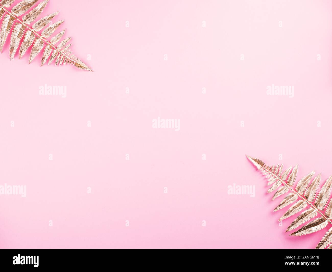 Millennial minimal hi-res stock photography and images - Alamy