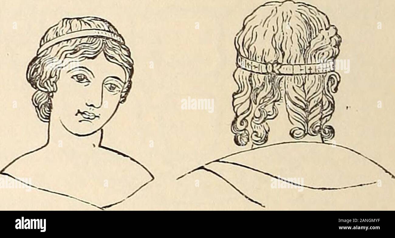 Retrices hi-res stock photography and images - Alamy