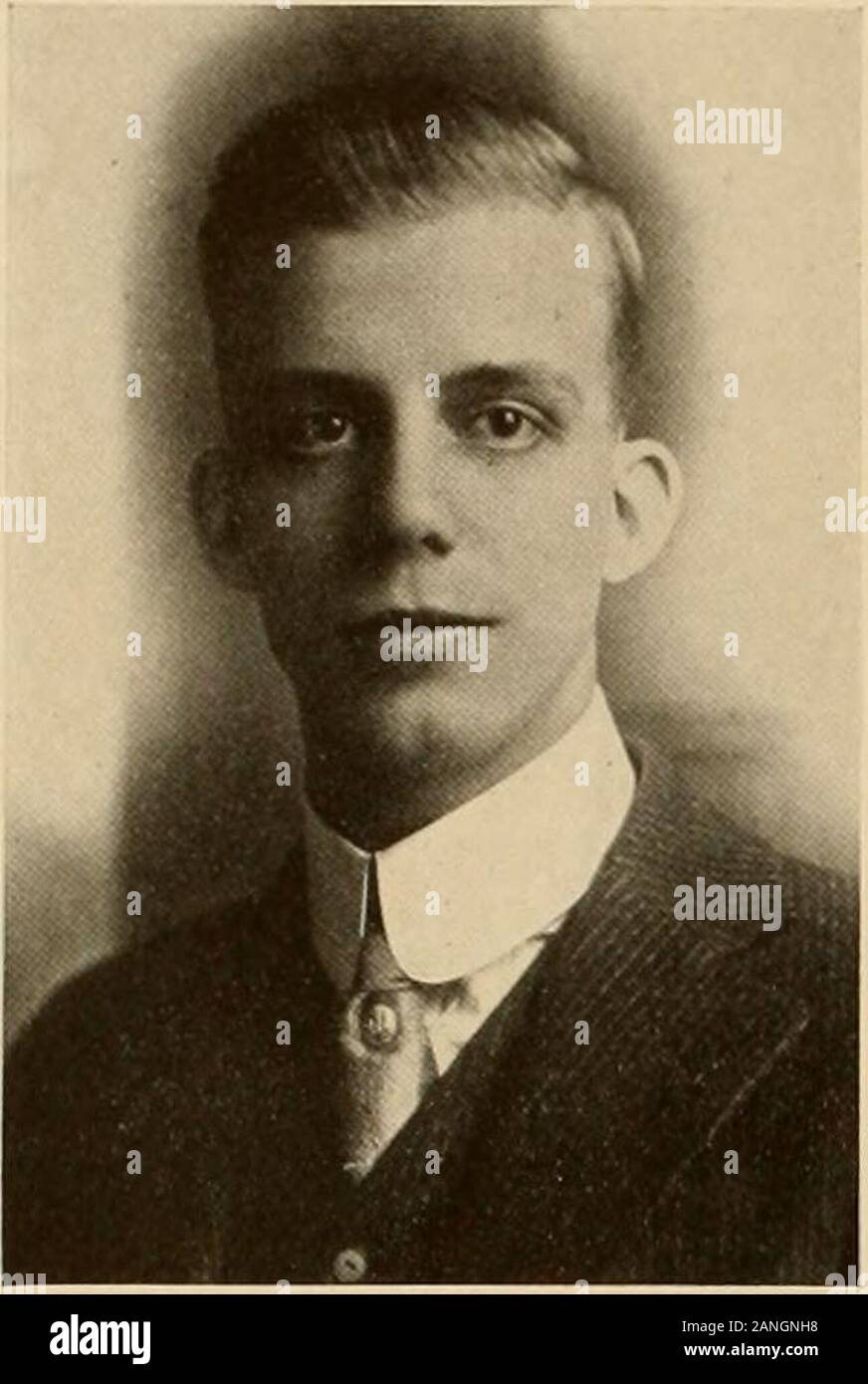 Il bearcat hi-res stock photography and images - Alamy