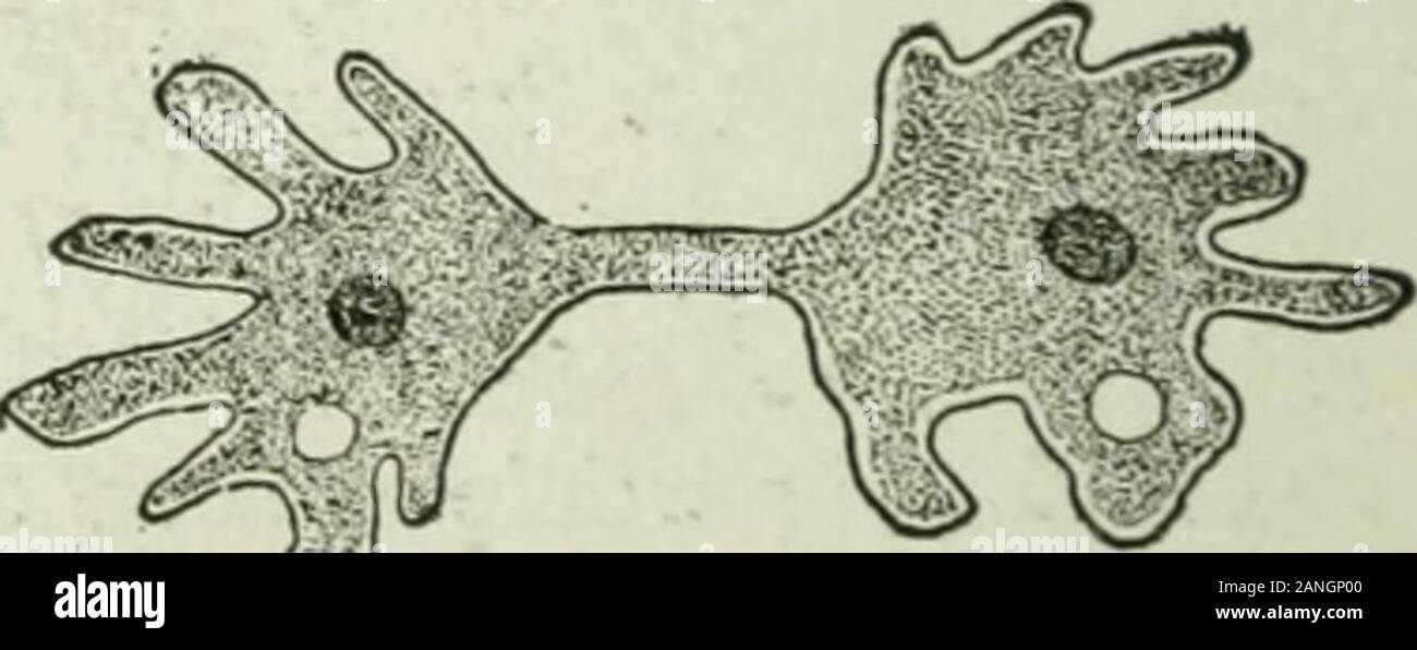 Mals 12 hi-res stock photography and images - Alamy